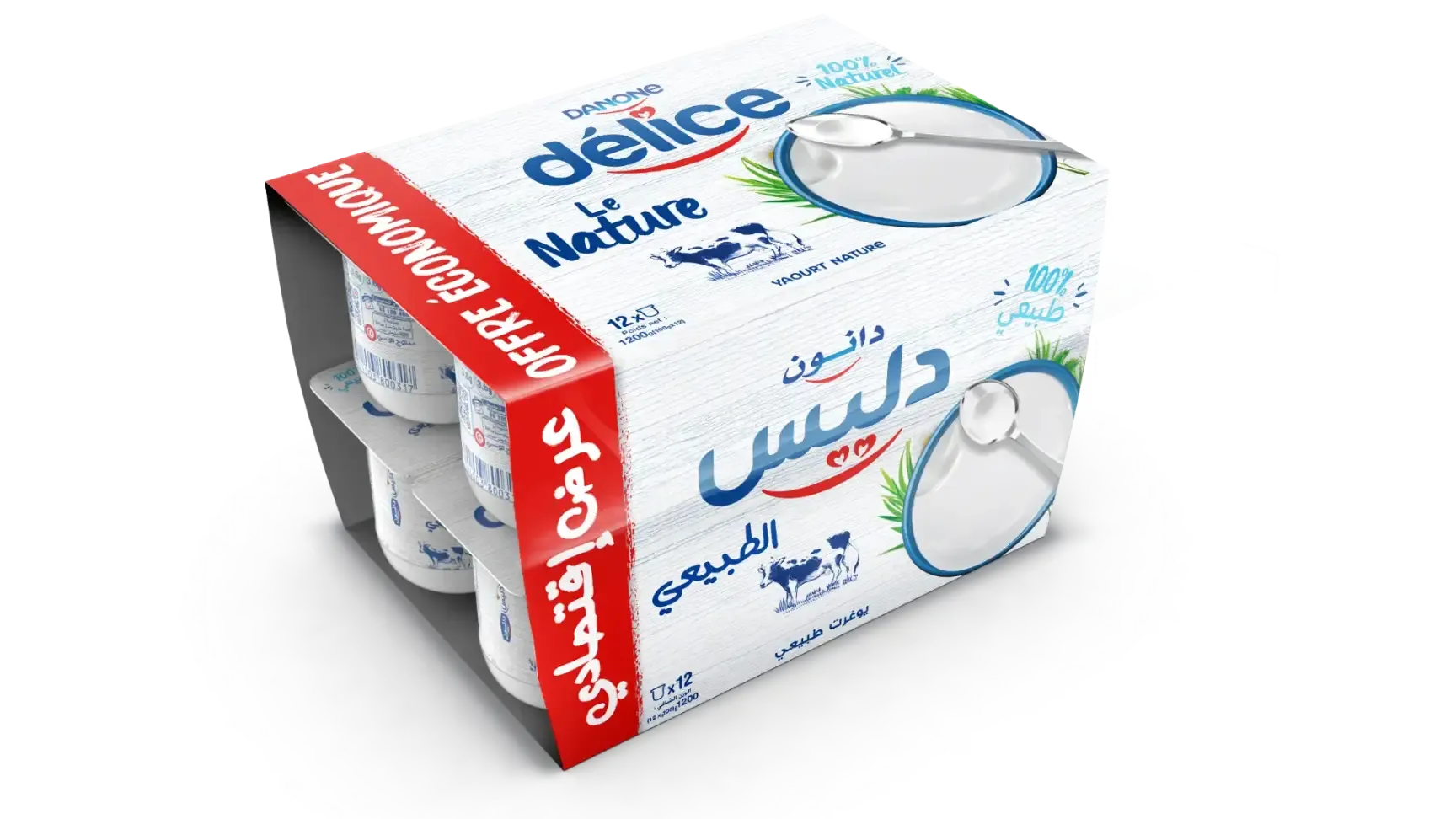 Pack de yaourts natures